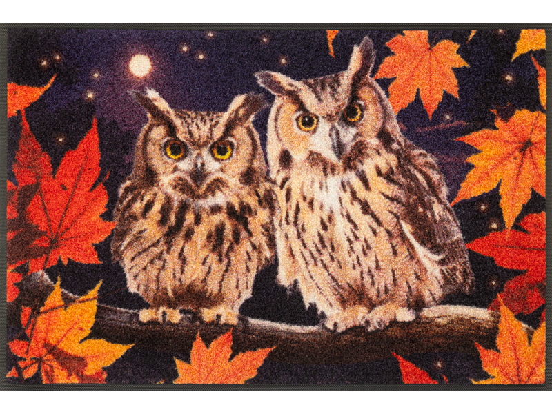 Night Owls — wash+dry